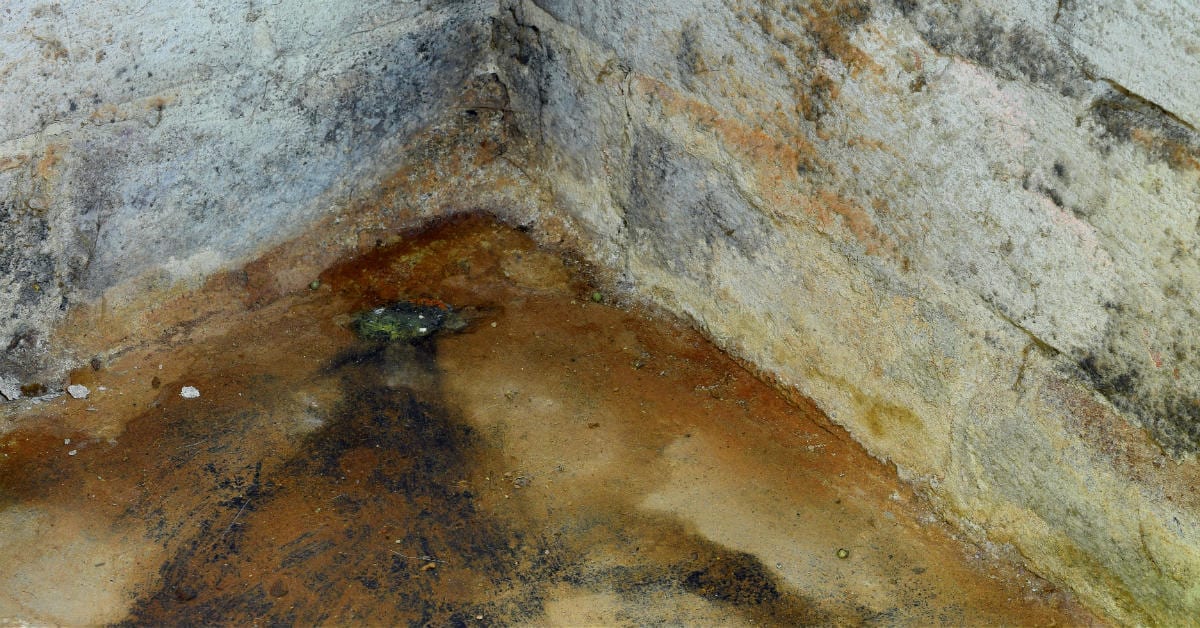 Crawl Space Water Damage Cleanup | Crawl Space Water Removal