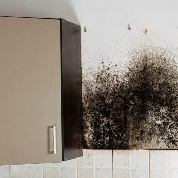 Water Damage, Fire Restoration, Sewage and Biohazard Cleanup